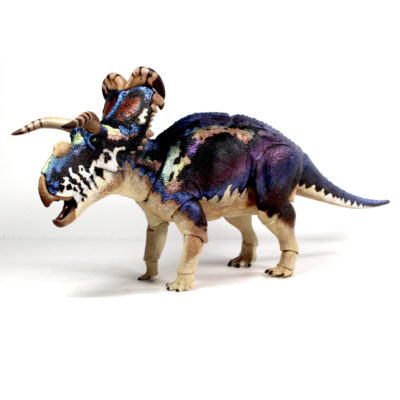 Beasts of the Mesozoic Fans' Choice Medusaceratops - Everything Dinosaur