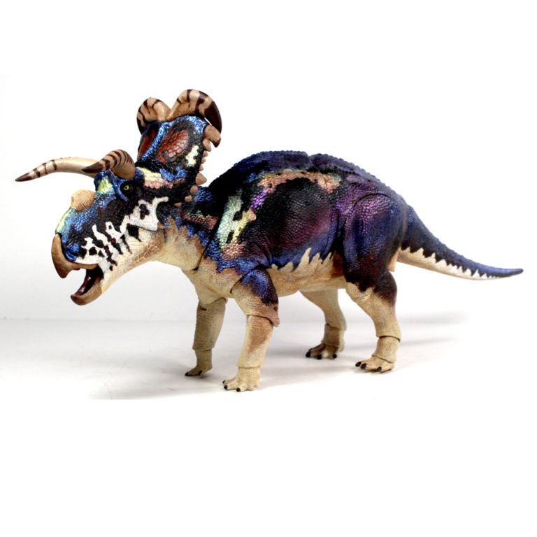 Beasts of the Mesozoic Fans' Choice Medusaceratops - Everything Dinosaur