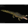 Rebor Adult Deinosuchus Swamp - Everything Dinosaur