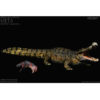 Rebor Adult Deinosuchus Swamp - Everything Dinosaur