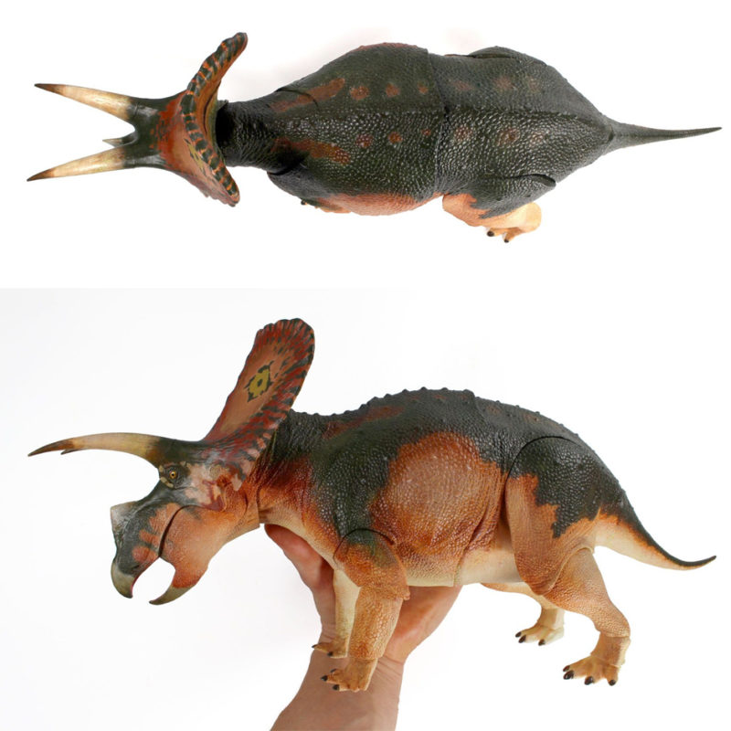 Beasts of the Mesozoic Fans' Choice Torosaurus - Everything Dinosaur