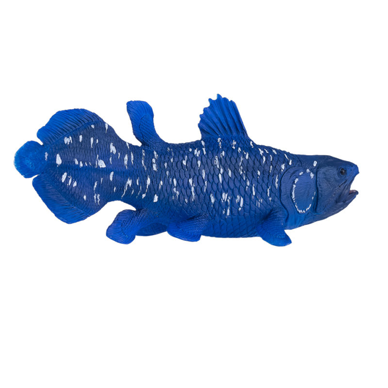 Mojo Fun Coelacanth Model