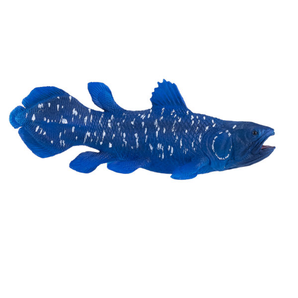Mojo Fun Coelacanth Model