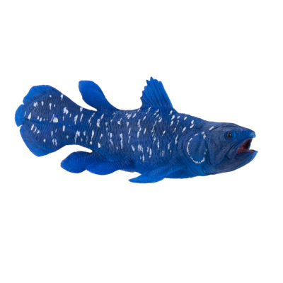 Mojo Fun Coelacanth Model