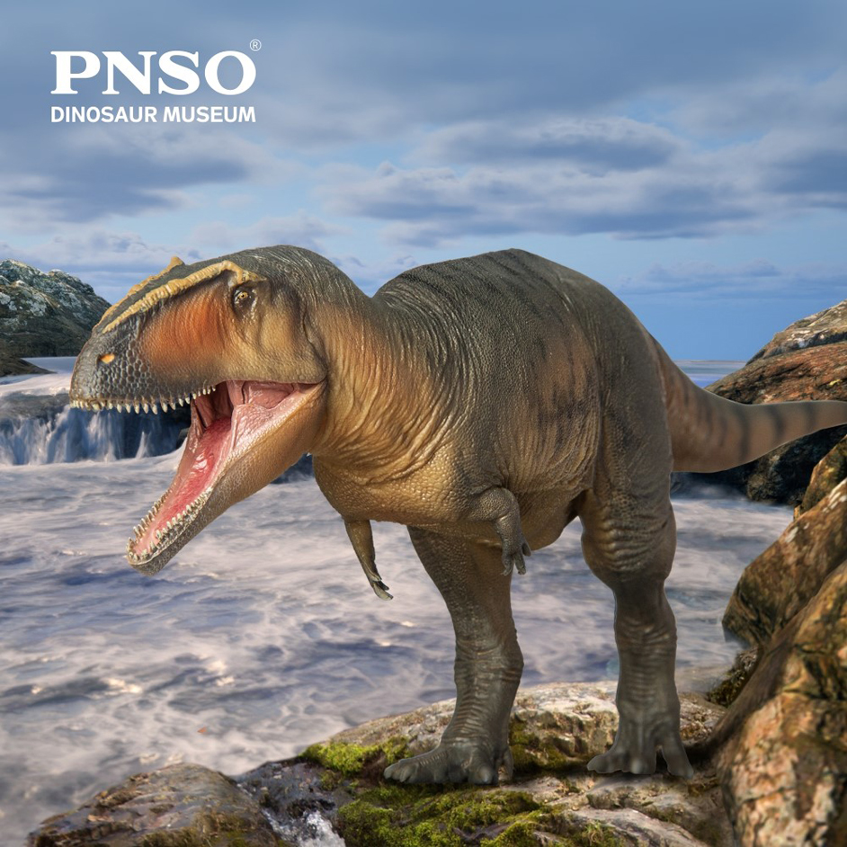 PNSO Lucas the Giganotosaurus - Everything Dinosaur