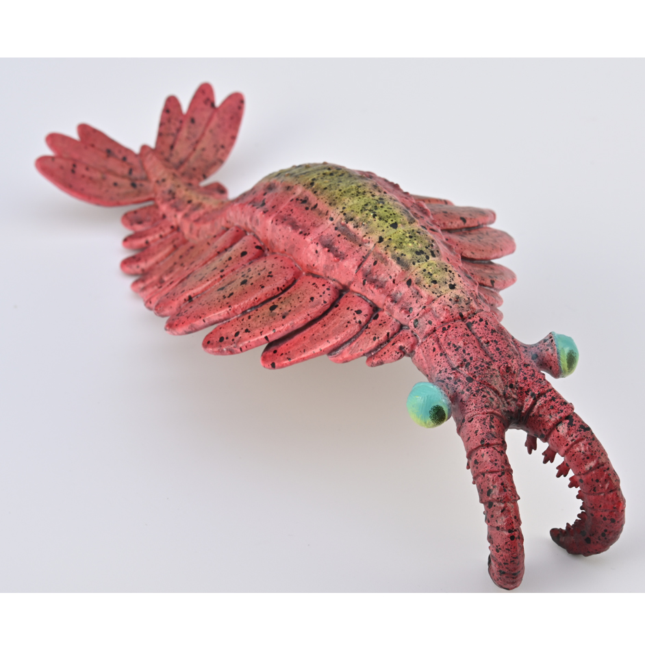 CollectA Anomalocaris Model - Everything Dinosaur