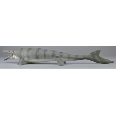 CollectA Deluxe Mosasaurus Model - Everything Dinosaur