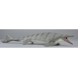 CollectA Deluxe Mosasaurus Model - Everything Dinosaur
