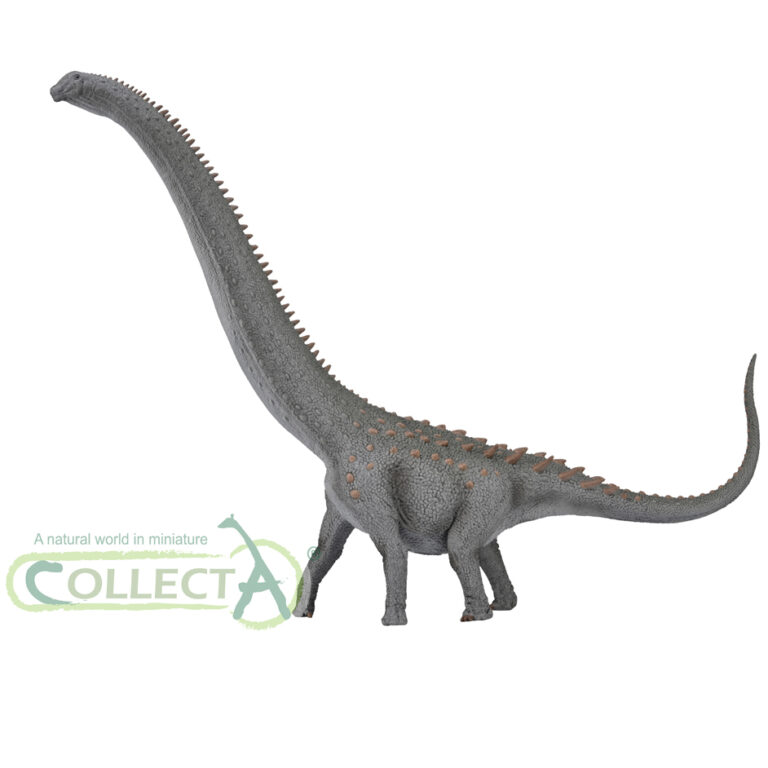 CollectA Deluxe Ruyangosaurus - Everything Dinosaur