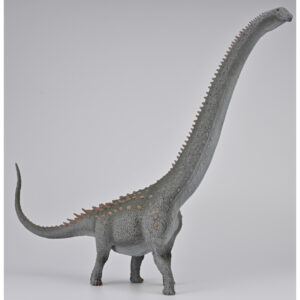 CollectA Deluxe Ruyangosaurus - Everything Dinosaur