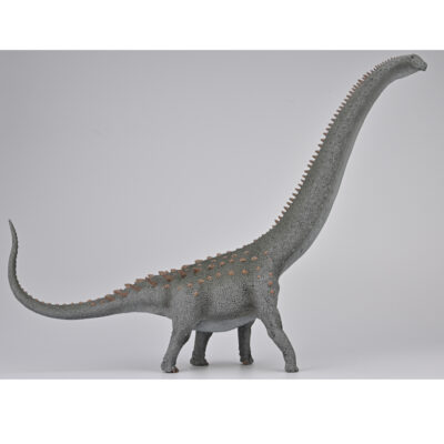 CollectA Deluxe Ruyangosaurus - Everything Dinosaur