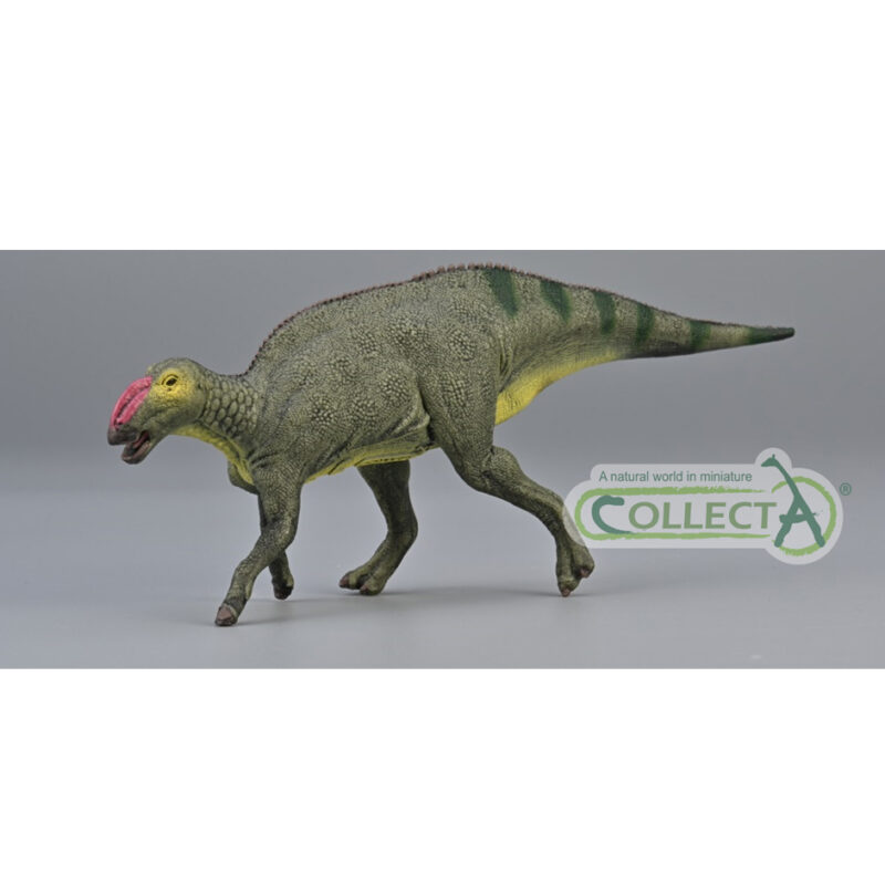 CollectA Prehistoric Life Collection