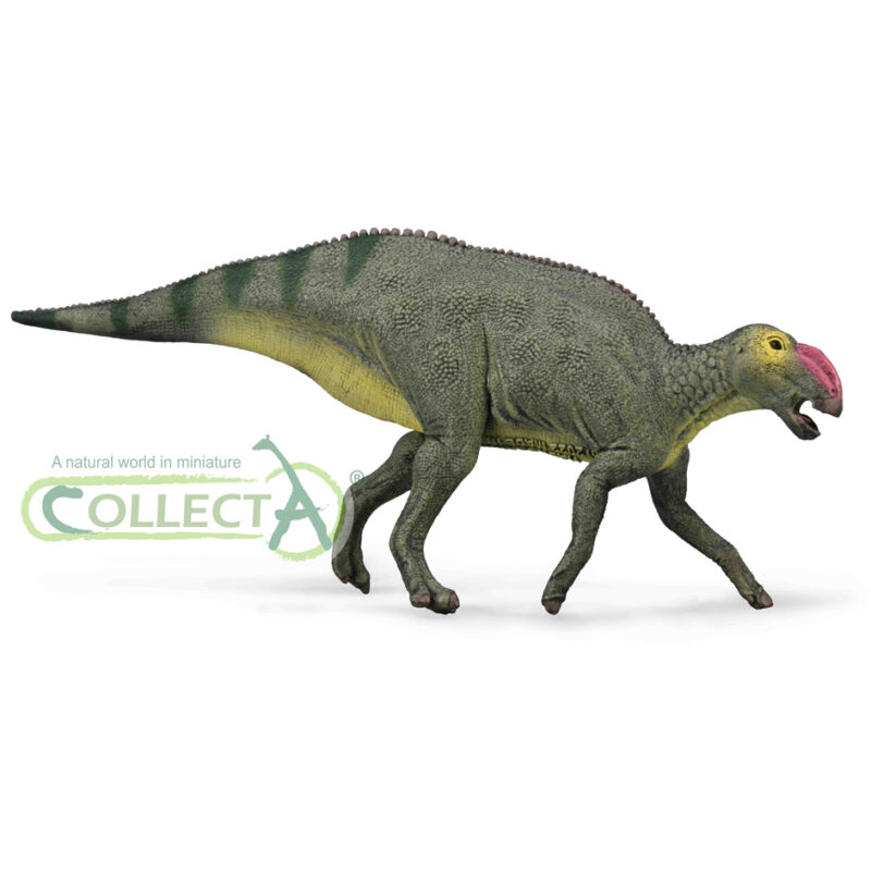 CollectA Hadrosaurus Dinosaur Model - Everything Dinosaur