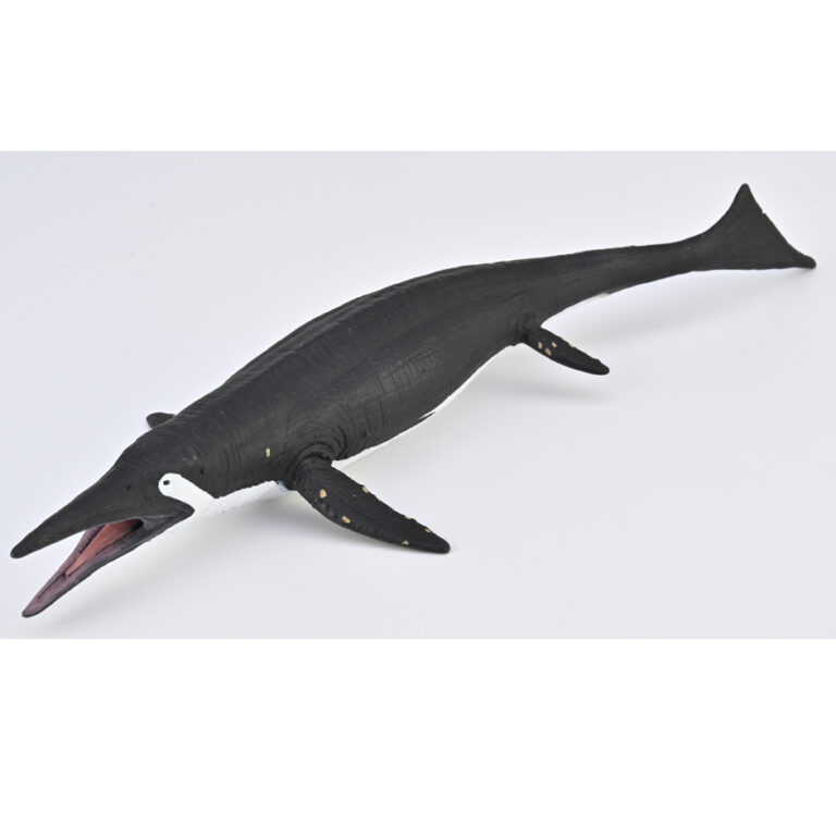 CollectA Shastasaurus Model - Everything Dinosaur