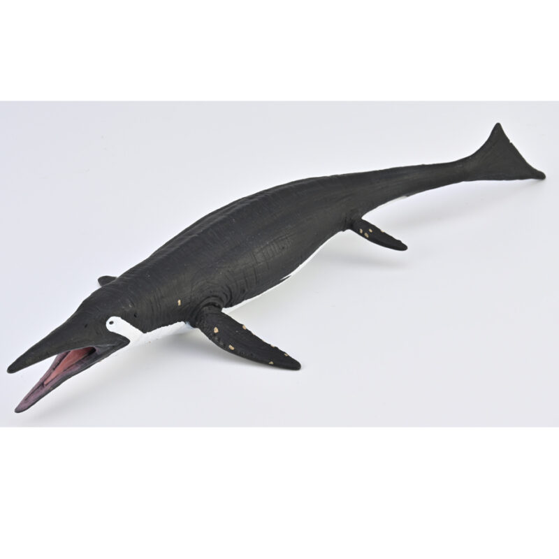 CollectA Shastasaurus Model - Everything Dinosaur