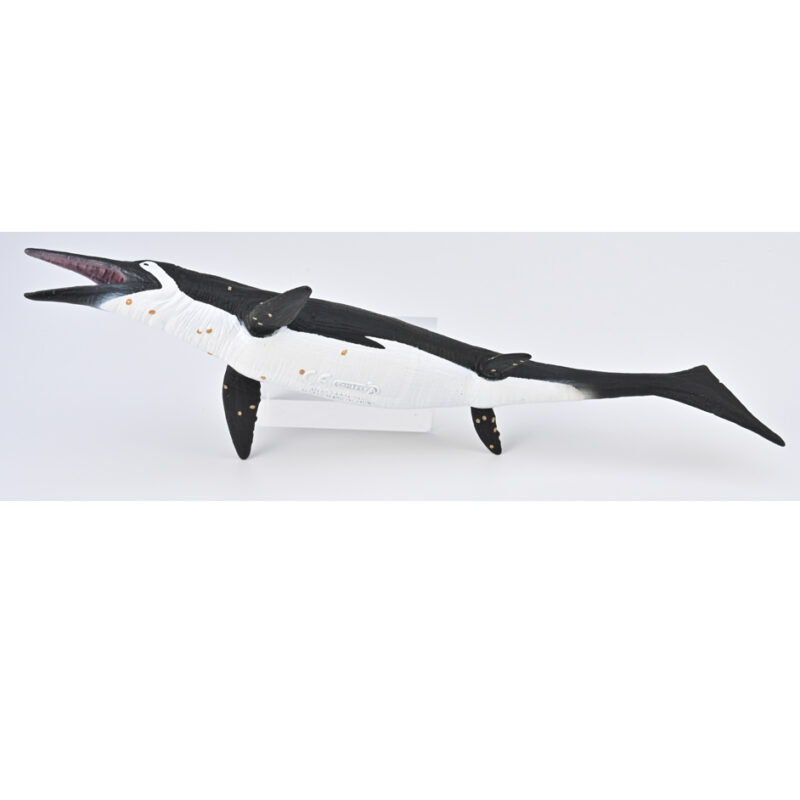 CollectA Shastasaurus Model - Everything Dinosaur