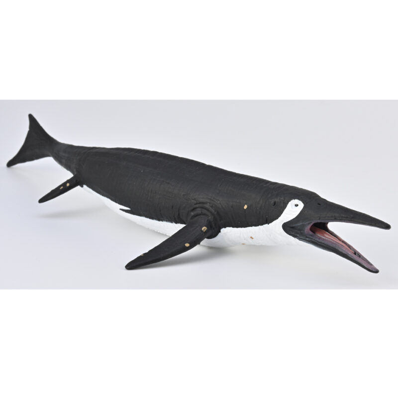 CollectA Shastasaurus Model - Everything Dinosaur