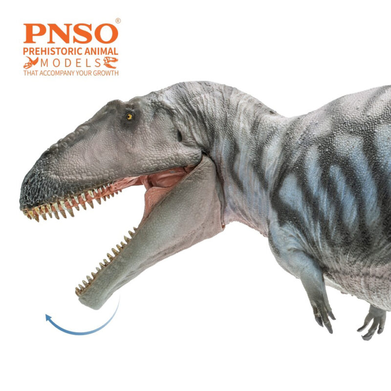 PNSO Mungo the Meraxes - Everything Dinosaur