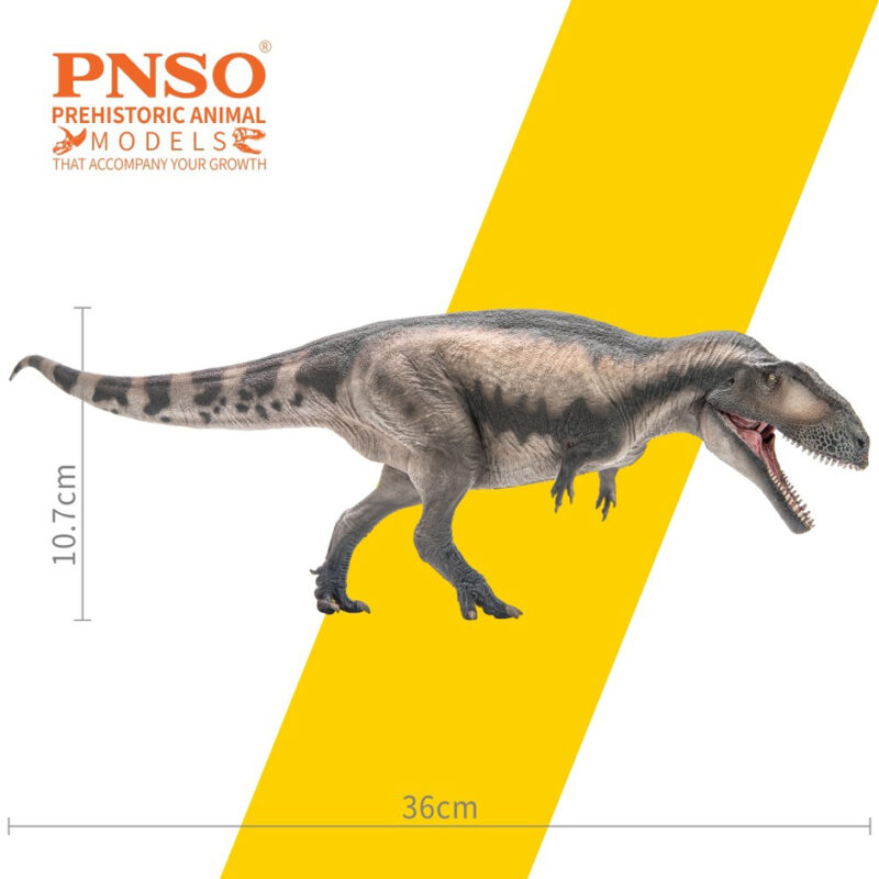PNSO Mila the Mapusaurus - Everything Dinosaur