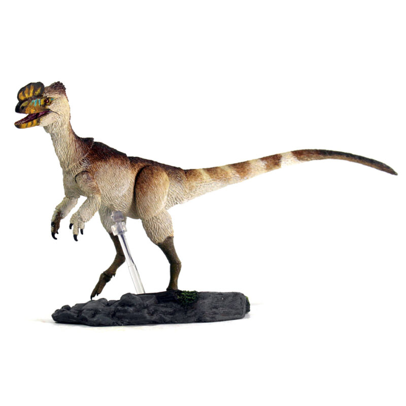 Beasts of the Mesozoic 1/18th Proceratosaurus bradleyi - Everything ...