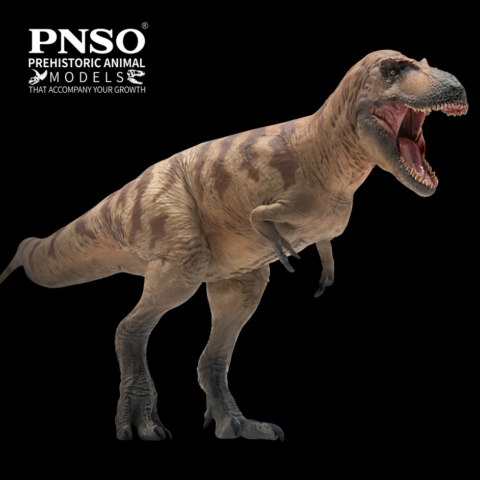 PNSO Cole the Daspletosaurus - Everything Dinosaur
