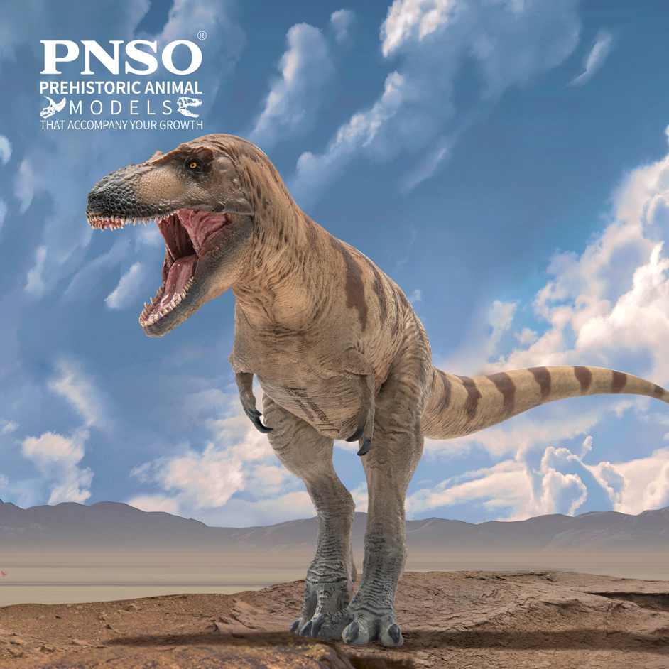PNSO Cole the Daspletosaurus - Everything Dinosaur