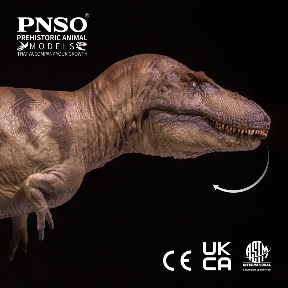 PNSO Cole the Daspletosaurus - Everything Dinosaur