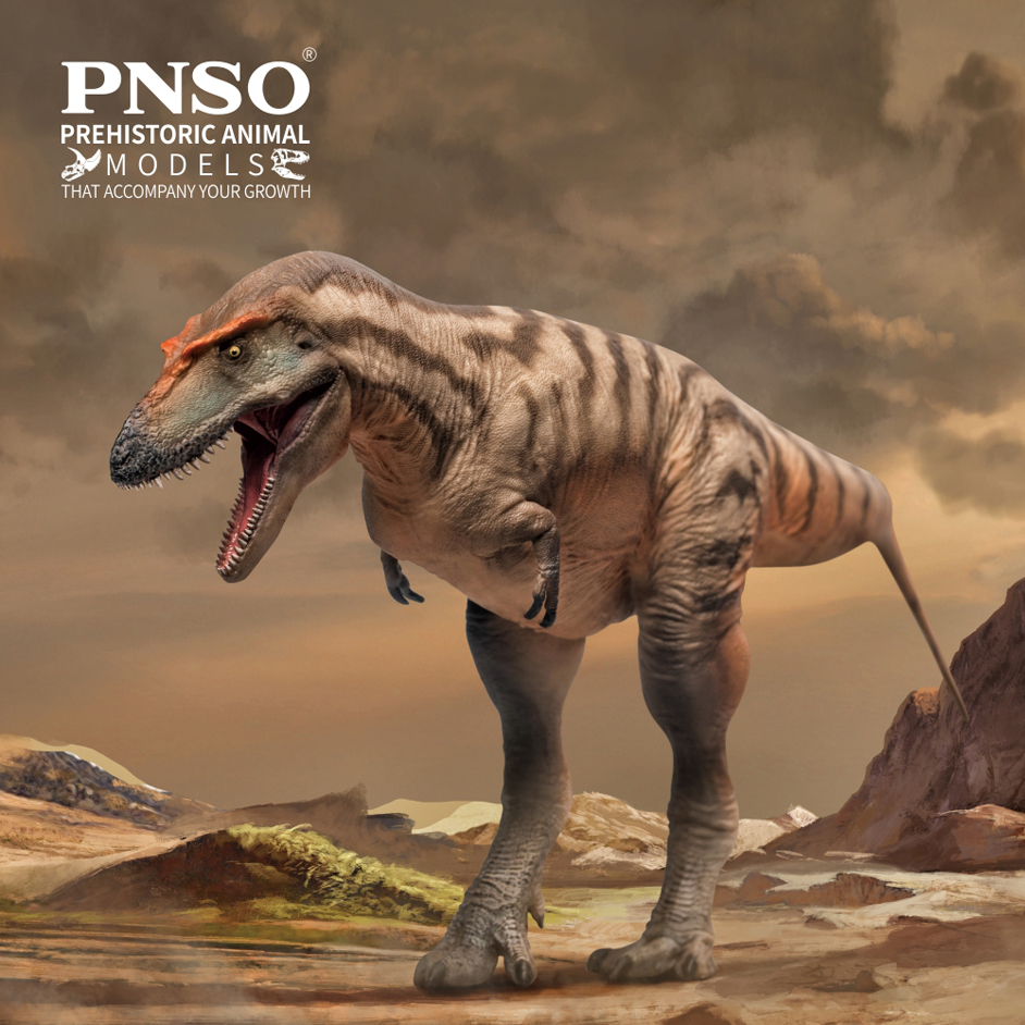 PNSO Tristan the Gorgosaurus - Everything Dinosaur