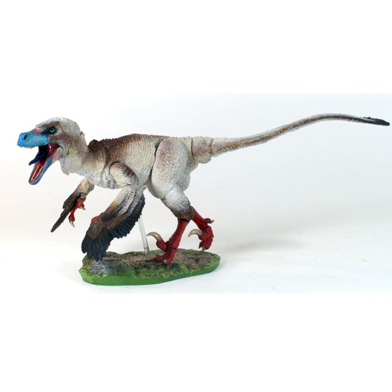 Acheroraptor temertyorum version 2