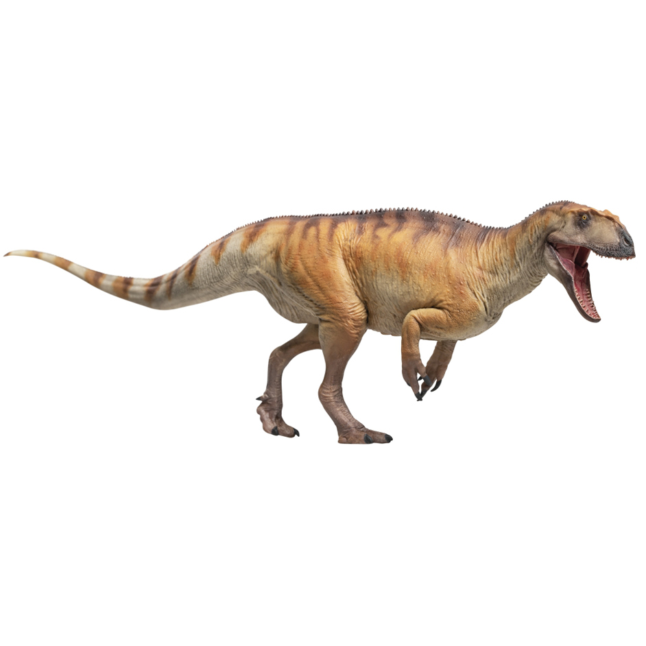 PNSO Dayong the Yangchuanosaurus shangyouensis - Everything Dinosaur