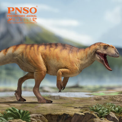 PNSO Dayong the Yangchuanosaurus shangyouensis - Everything Dinosaur