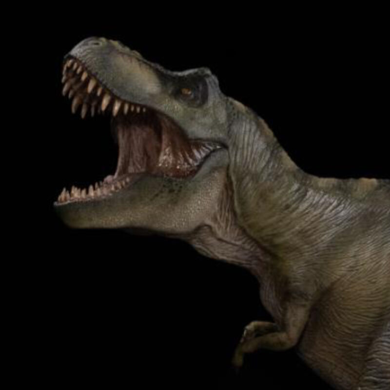 Nanmu Studio Jurassic Series Alpha T. rex 2.0 (Green) - Everything Dinosaur