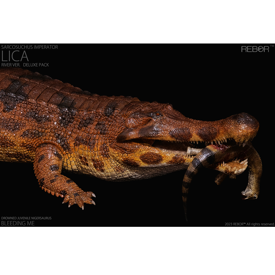Rebor Sarcosuchus imperator "Lica" Lake - Everything Dinosaur