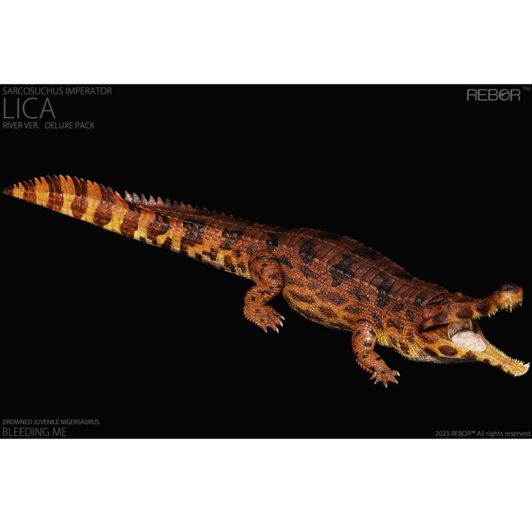 Rebor Sarcosuchus imperator "Lica" River - Everything Dinosaur