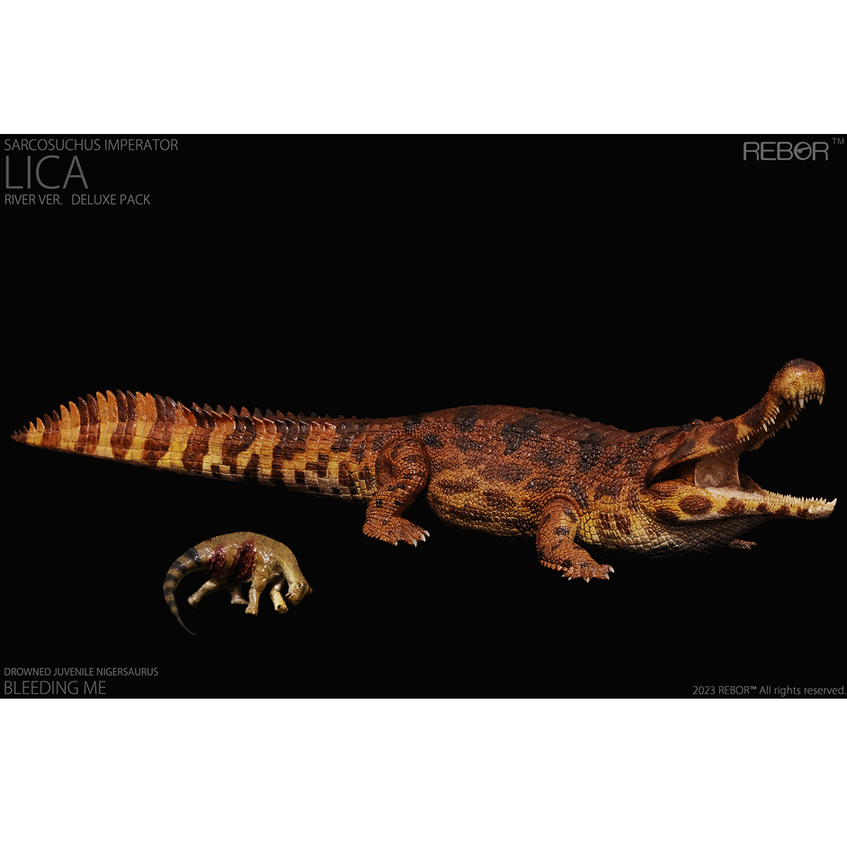 Rebor Sarcosuchus imperator "Lica" Lake - Everything Dinosaur