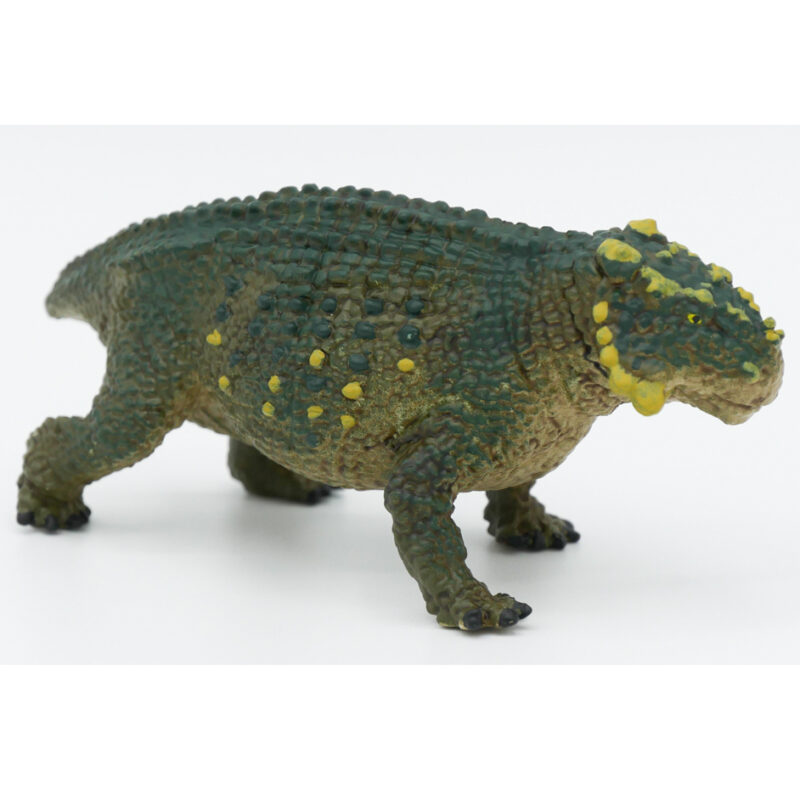 Wild Past Scutosaurus and Kotlassia - Everything Dinosaur