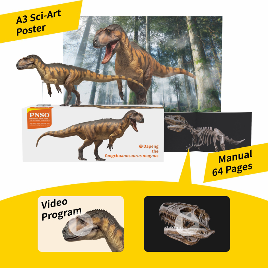 PNSO Dapeng the Yangchuanosaurus magnus - Everything Dinosaur
