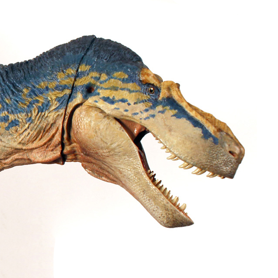 Beasts of the Mesozoic 1/18th Gorgosaurus libratus - Everything Dinosaur