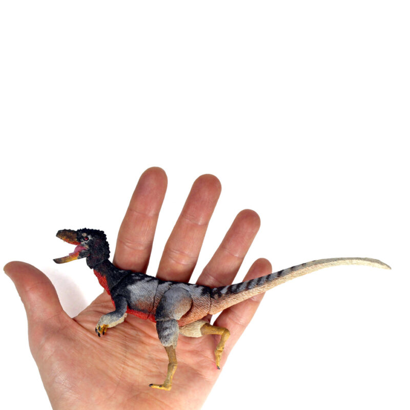 Beasts of the Mesozoic 1/18th Moros intrepidus - Everything Dinosaur