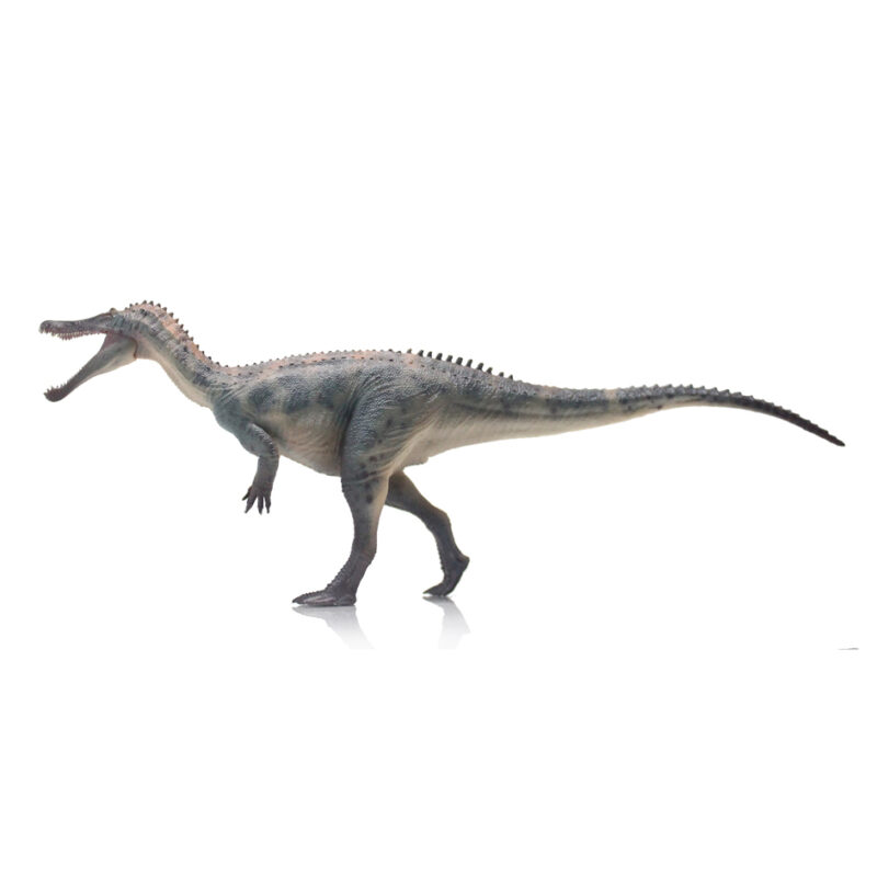 Haolonggood Baryonyx (Shan Ting) - Everything Dinosaur