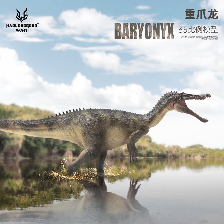 Haolonggood Baryonyx (Wei Ding Guo) - Everything Dinosaur