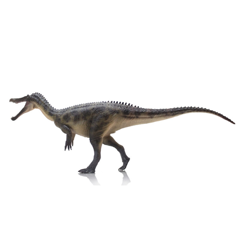 Haolonggood Baryonyx (Wei Ding Guo) - Everything Dinosaur