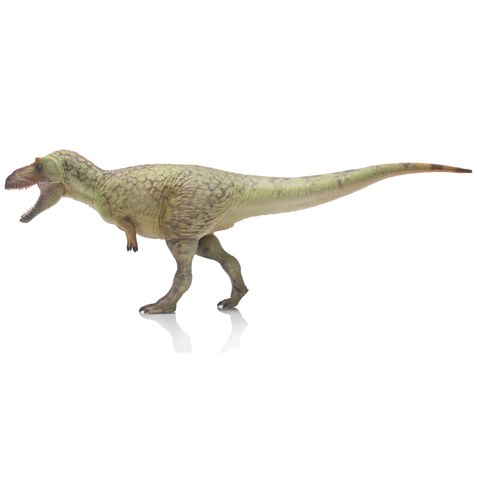 Haolonggood Daspletosaurus torosus (Wu Song) - Everything Dinosaur
