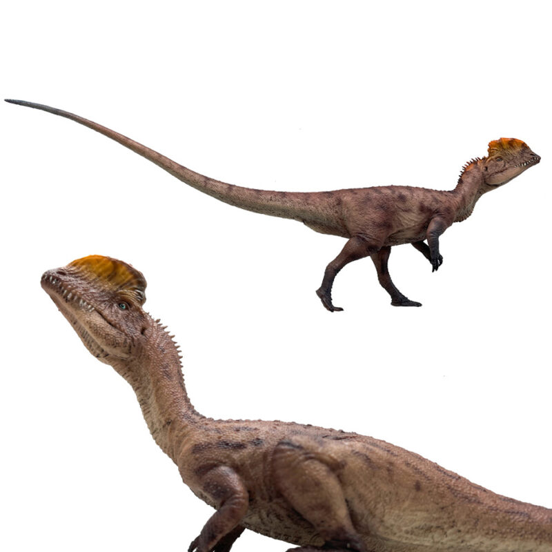 Haolonggood Dilophosaurus (Sun Xin/Gu Da Sao) - Everything Dinosaur