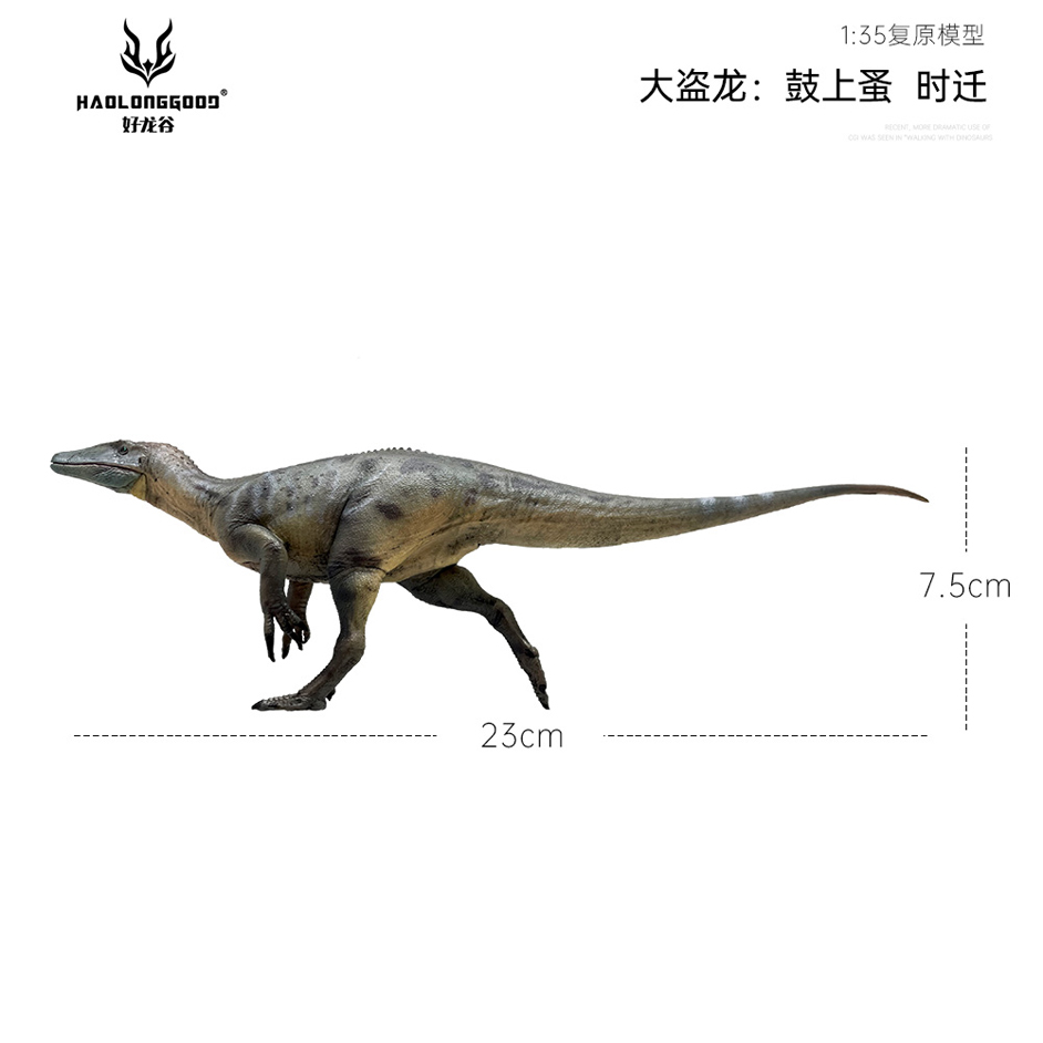 Megaraptor Dinosaur Konge
