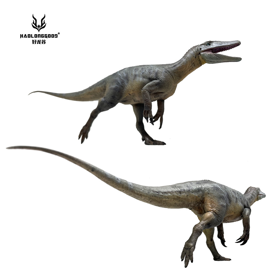 Haolonggood Megaraptor (Shi Qian) - Everything Dinosaur