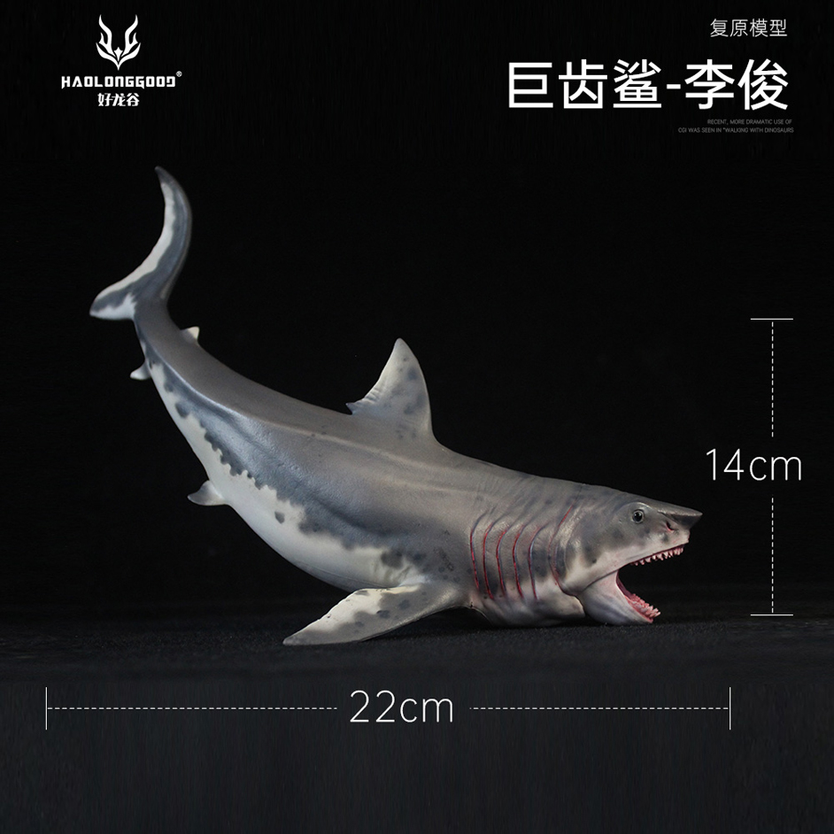 Megalodon Dinosaur Toy