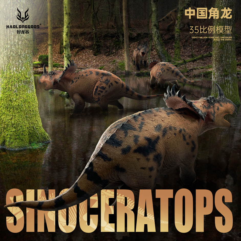 Haolonggood Sinoceratops (Lei Heng) - Everything Dinosaur