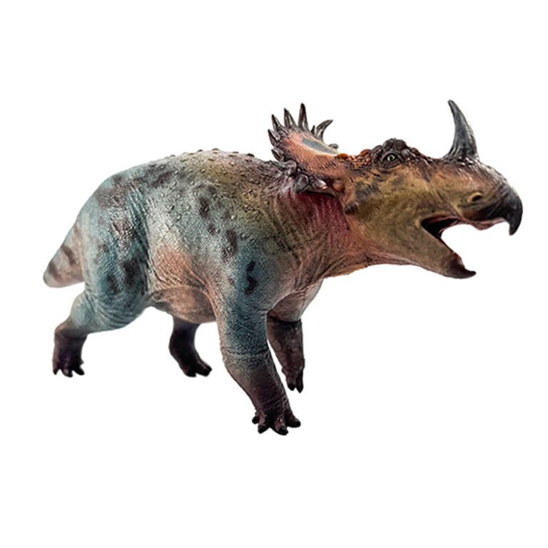 Haolonggood Sinoceratops (Zhu Tong) - Everything Dinosaur