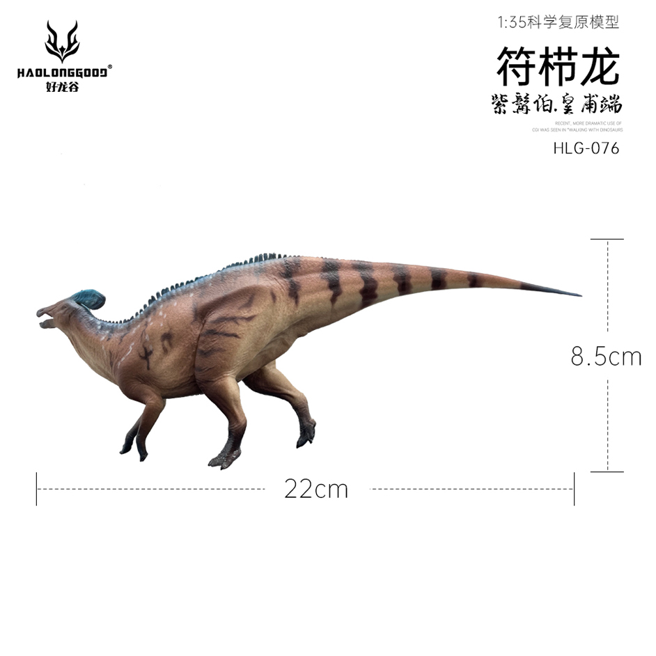 Haolonggood Tlatolophus (Huang Fu Duan) - Everything Dinosaur